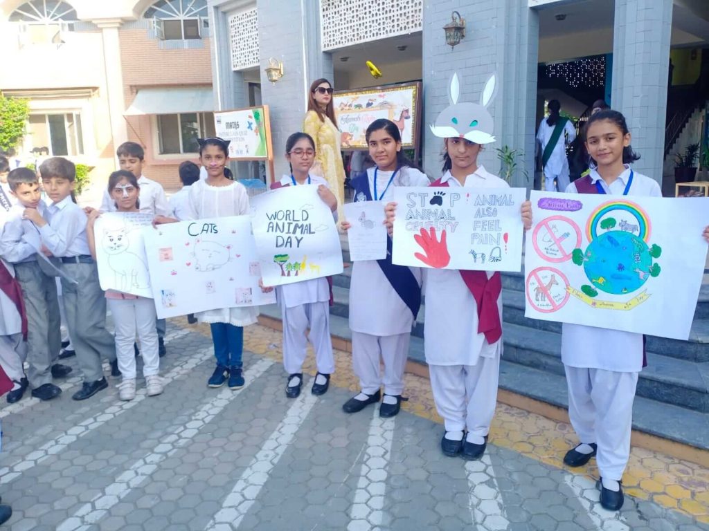 Junior School (Z-block) – DHAES Lahore